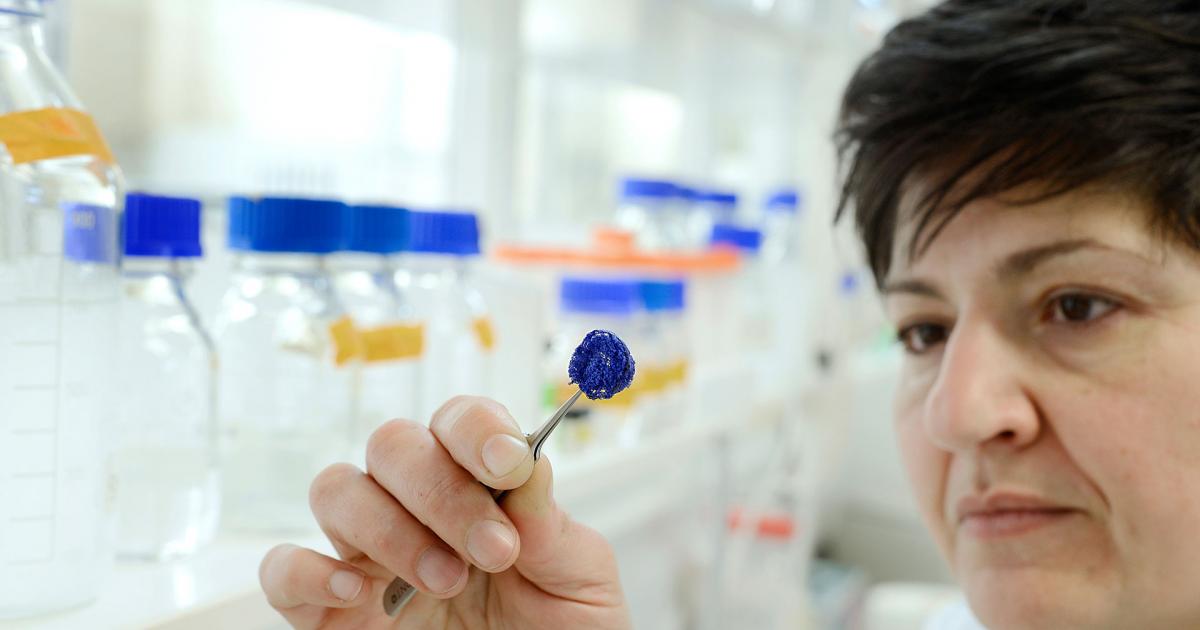 Biological physics | University of Oxford Department of Physics